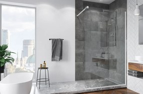 Ronal (Sanswiss) SanSwiss BlackLine Walk-In STR4P 120 cm, sklo 07