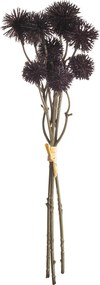 Kytice Kraspedia 30cm deep brown