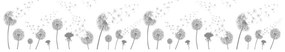 Samolepka na okno 200x40 cm Dandelions – Ambiance