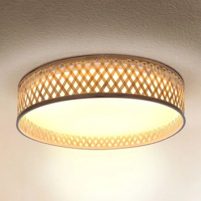 Brilagi - LED Stmívatelné stropní svítidlo CAMILA LED/48W/230V 3000-6500K + DO