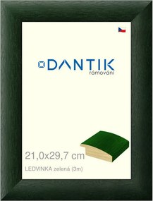 DANTIK rámeček 21x29,7 | LEDVINKA zelená (Sklo Čiré)