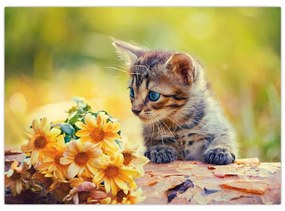 Skleněný obraz koťátka dívající se na květinu (70x50 cm)