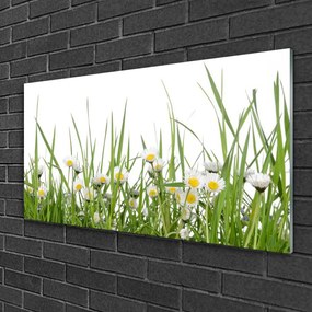 Obraz na skle Tráva Sedmikrásky Příroda 120x60 cm