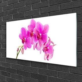 Obraz na skle Vstavač Květ Orchidej 140x70 cm