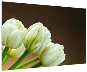 Obraz tulipánů  (90x60 cm)