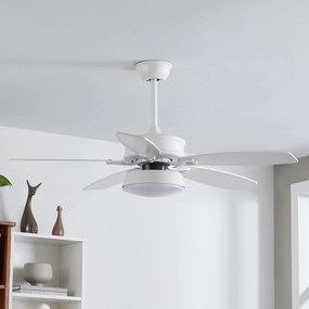 Starluna Kuvio LED stropní ventilátor, CCT, bílá