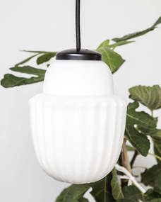 Závěsná lampa Acorn 29 cm