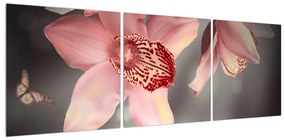 Obraz květů a motýla (120x40 cm)