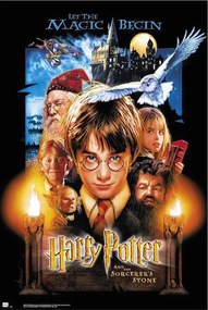 Plakát, Obraz - Harry Potter a Kámen Mudrců, (61 x 91.5 cm)