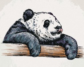 zuty zuty - malování podle čísel - olizující se panda, 40x50 cm, plátno