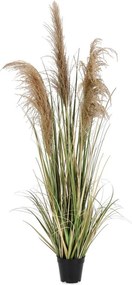 Umělá rostlina (výška 145 cm) Austorderia – Bizzotto