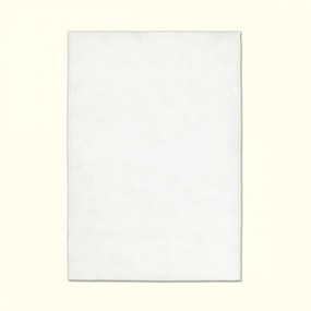 Koberec BASIC WHITE 200x300 cm
