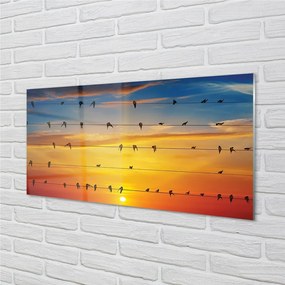 Obraz na skle Ptáci na lanech západu slunce 100x50 cm