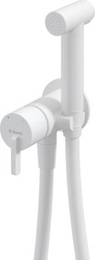 Deante Bidet tap, concealed, with bidetta hand shower