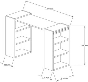 Pracovní stůl Handy Walnut and White