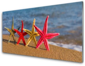 Obraz na skle Pláž Hvězdice Umění 125x50 cm
