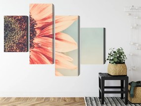 Vícedílný obraz Kvetoucí Slunečnice V Makro Měřítku Nedostatek Nedostatek Plátno Canvas 240x150