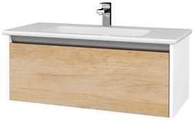 Dřevojas Koupelnová skříň BONO SZZ 100 (umyvadlo Euphoria) Varianta: N01 Bílá lesk / D15 Nebraska