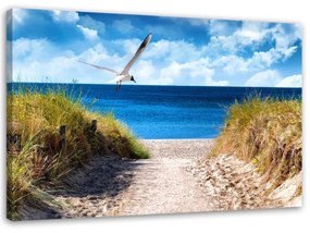 Obraz na plátně Pláž Mořské duny Racci - 120x80 cm