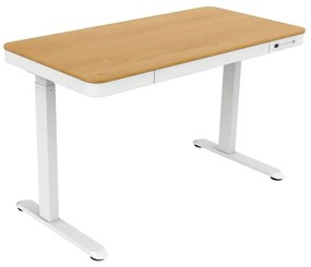 DELSO Elektrický výškově nastavitelný stůl WORKSTATION dub/bílá