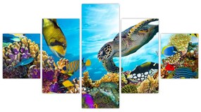 Obraz korálového útesu (125x70 cm)