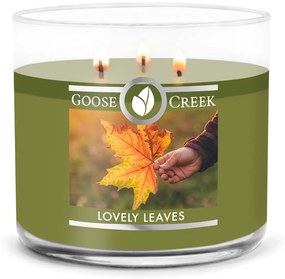 Goose Creek Candle svíčka Lovely Leaves, 411 g