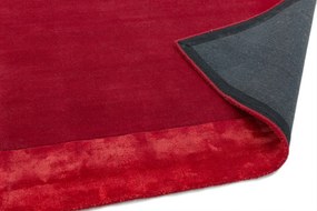Červený  koberec Hozien Red Rozměry: 160x230 cm