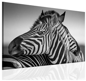 Malvis ® Obraz pruhovaná láska - černobílá Velikost: 45x30 cm