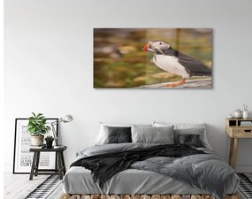 akrylový obraz Papoušek 140x70 cm