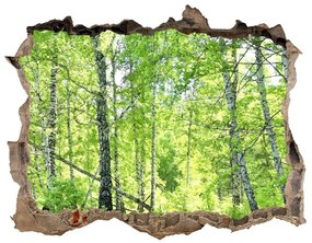 Wallmuralia Samolepící díra nálepka Břízový les 95x64 cm
