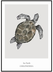 Plakát Sea Turtle 30 x 40 cm