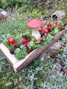 Dřevěný podnos "Houba" - 40 cm