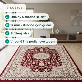 Angel Carpet, Kusový koberec Sultan 12 Red, 200x290, červená, kancelář