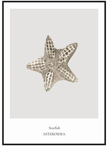 Plakát Starfish A4 (21 x 29,7 cm)
