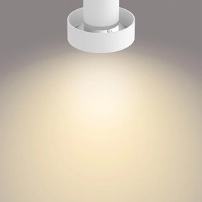 LED Bodové svítidlo Philips Bukko 50602/31/P0 s funkcí SceneSwitch 2x4,3W