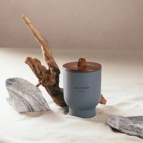 Svíčka SABLE WOOD Forest Sage 775215