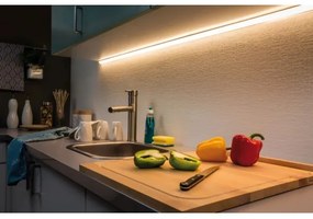 Paulmann 70669 - LED/35W IP44 Stmívatelný koupelnový pásek MAXLED 3 m 6500K 230V