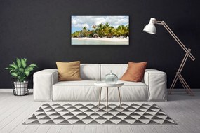 Obraz na plátně Pláž Palma Stromy Krajina 100x50 cm