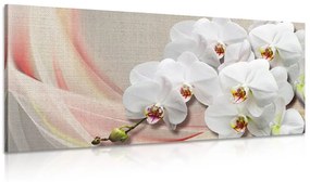 Obraz bílá orchidej na plátně Varianta: 120x60