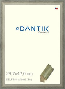 DANTIK rámeček 29,7x42 | DELFINO stříbrná (Plexi Čiré)