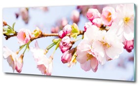 Wallmuralia Foto-obraz fotografie na skle Květy višně 100x50