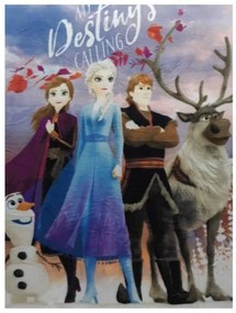 Setino - Dívčí fleecová deka Ledové království / Frozen / 110 x 140 cm