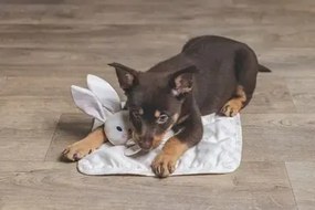 Beeztees Cuddle Dimpie 31cm / Mazlící dečka