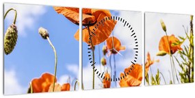 Obraz vlčích máků (s hodinami) (90x30 cm)