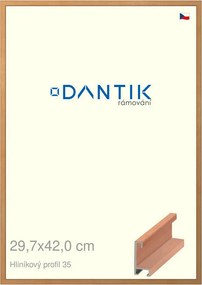 DANTIK rámeček 29,7x42 | ALU profil 6035 Dýha třešeň (Plexi Čiré)