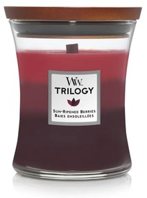 WoodWick vonná svíčka s dřevěným knotem Trilogy svíčka střední Sun Ripened Berries 275 g