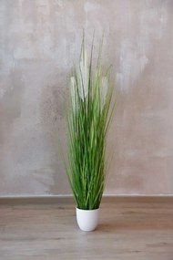Umělá tráva PAMPAS, plast, výška 120 cm, zelená