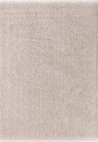 Koberec Zendra taupe 200x290 cm