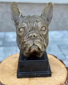 Bronzová socha - Francouzský buldok - busta