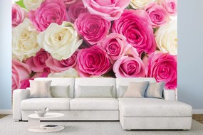 DIMEX | Samolepicí vliesová fototapeta na zeď Růžové a bílé růže MA-5-1335 | 375 x 250 cm | béžová, růžová